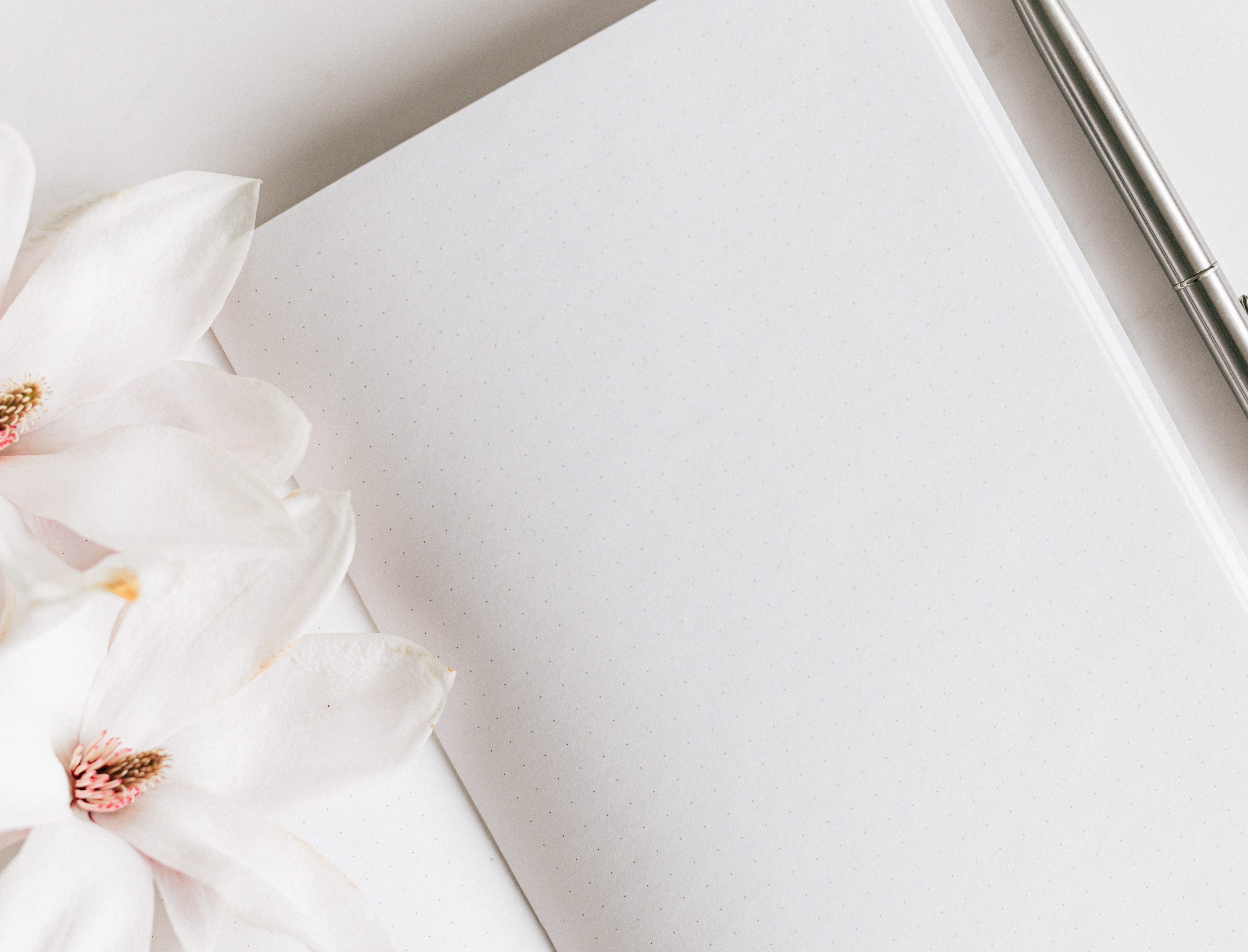 p191 – SLP合同会社