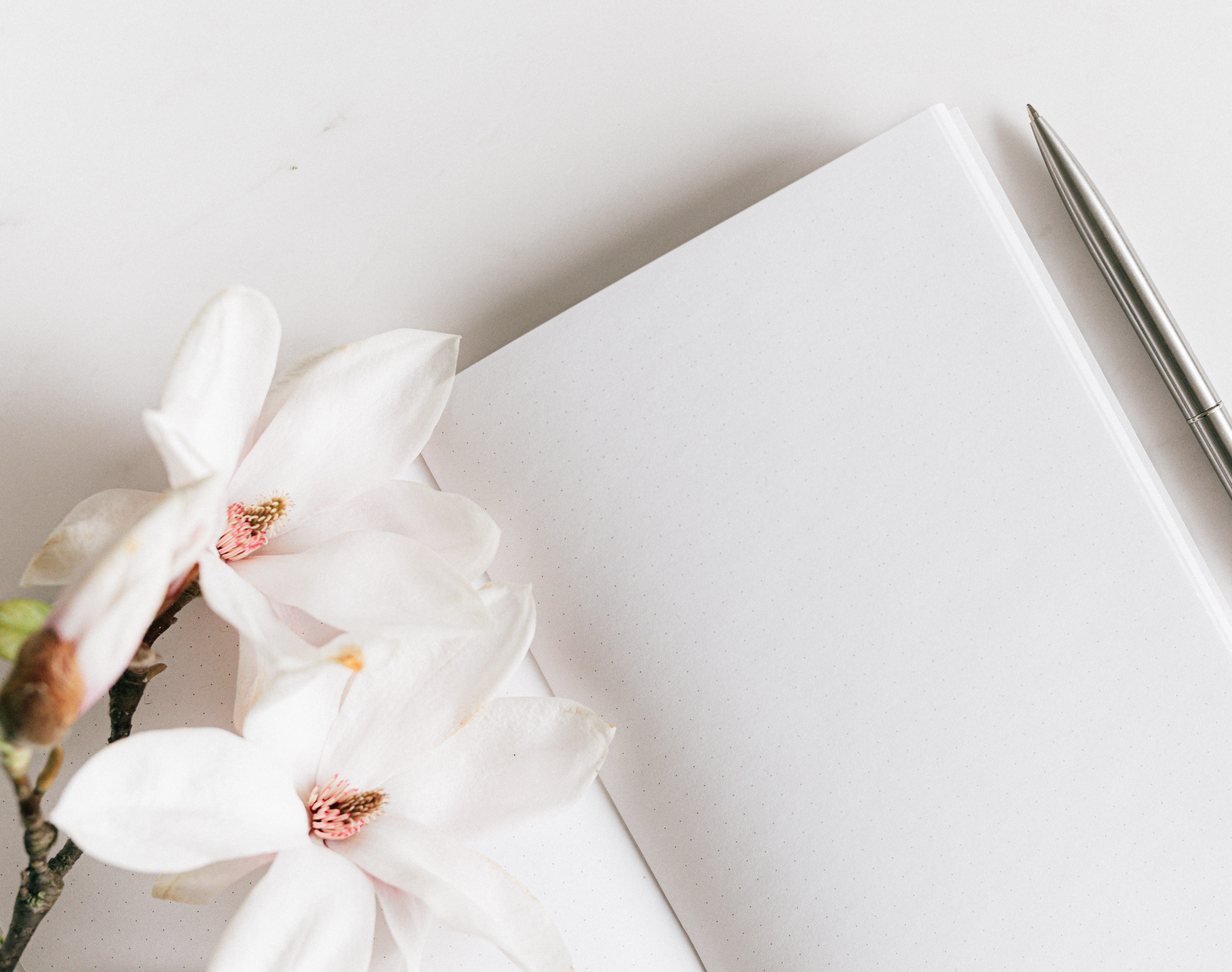 p191 – SLP合同会社